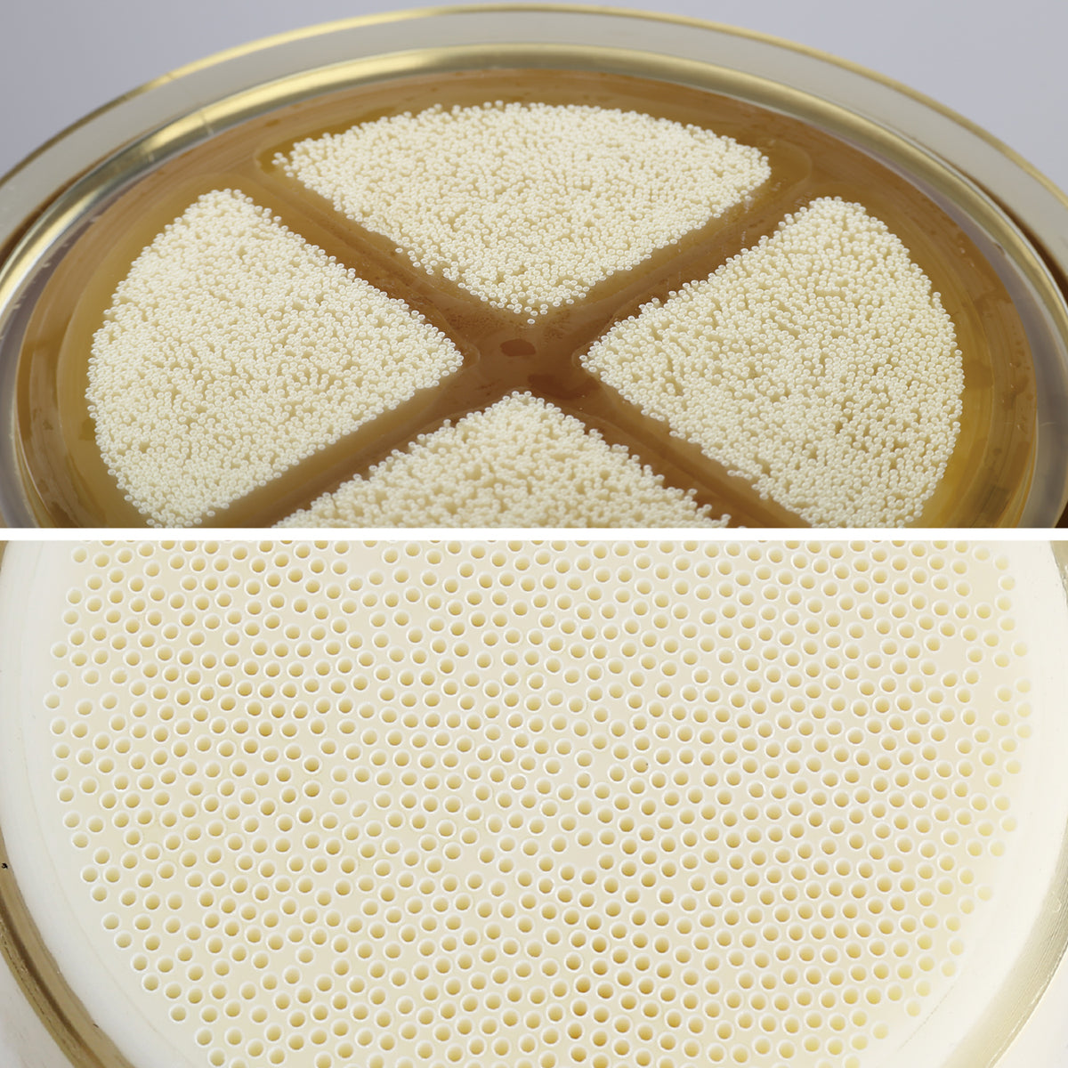 ATF Hollow Fiber Filter - Perfusion Cell Culture Process – Cobetter