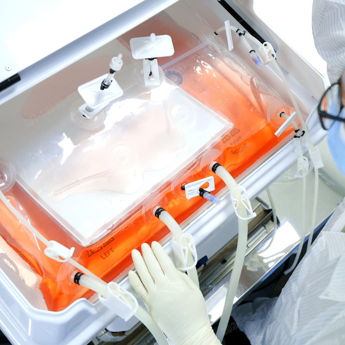 Lifecask™ RW Single-use Bioreactor Bags - Cobetter