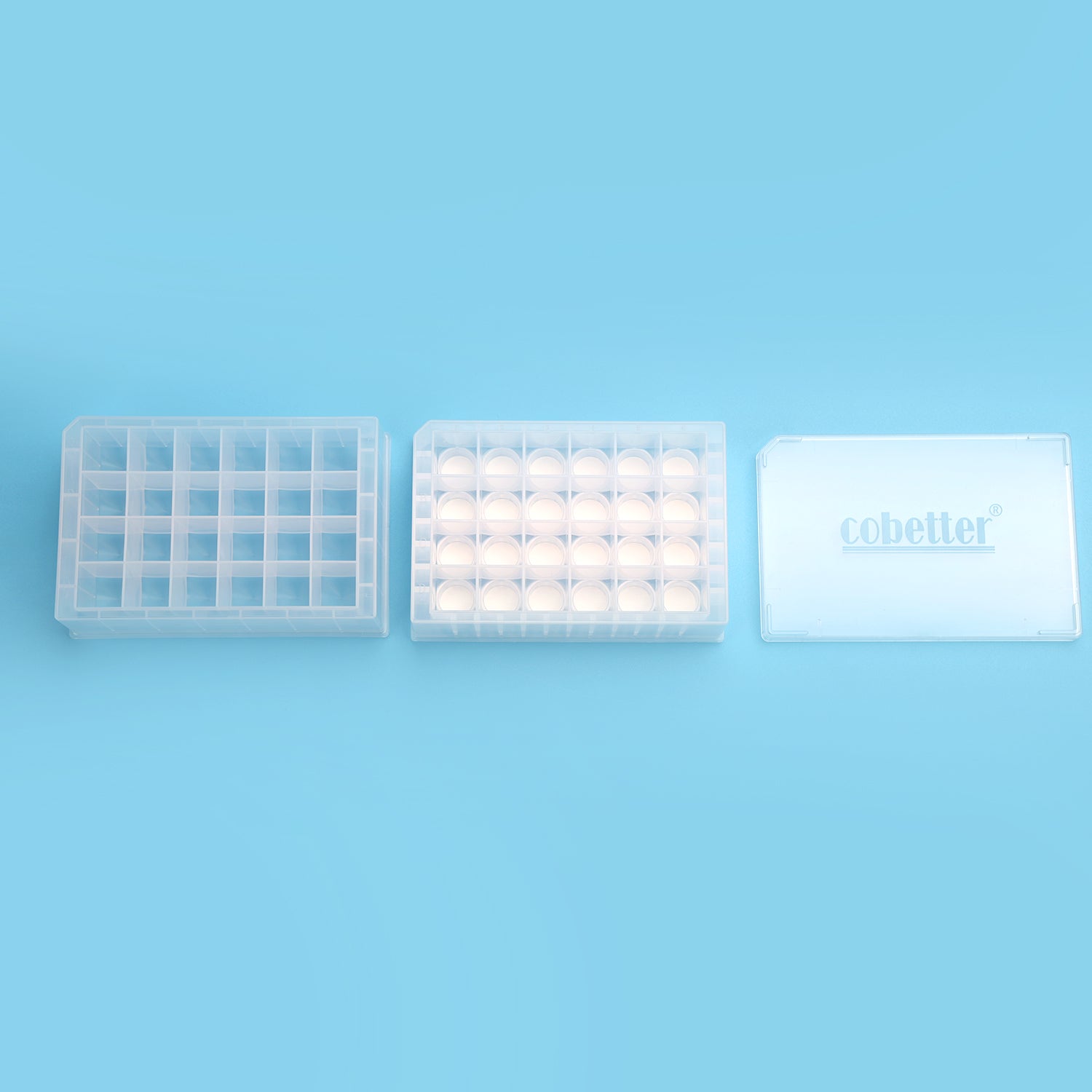 24-well Filter Plate Hydrophobic PTFE Membrane – Cobetter