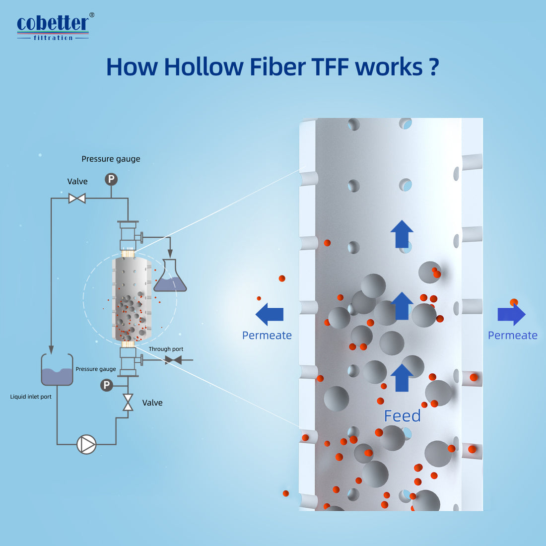 1mm MidProcess Hollow Fiber mPES Ultrafiltration Membrane